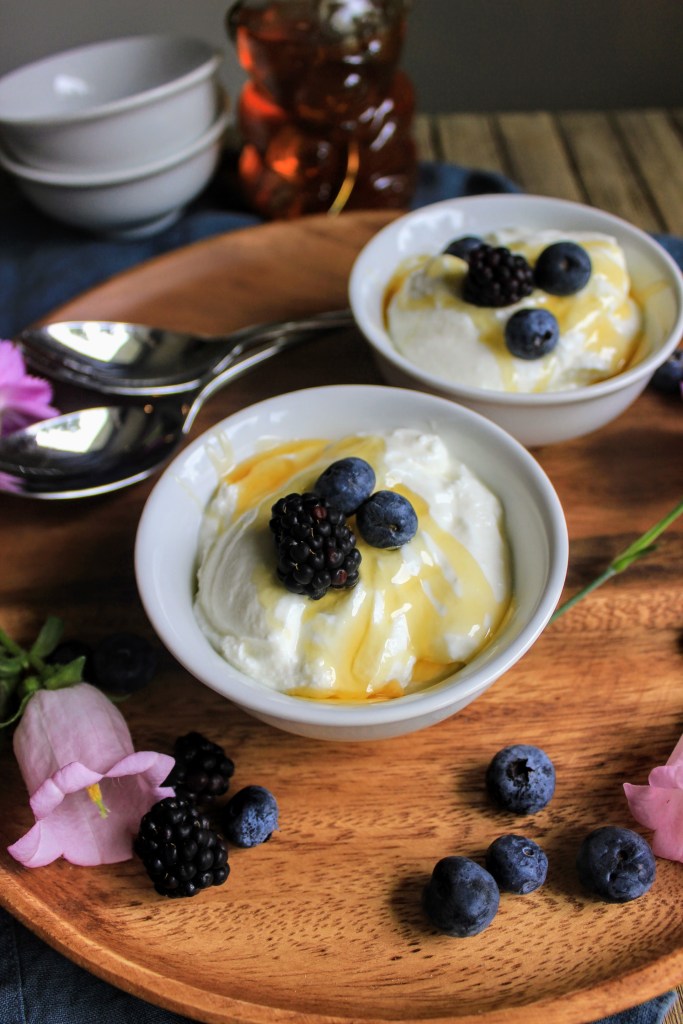 Homemade Greek Yogurt – Marina Makes